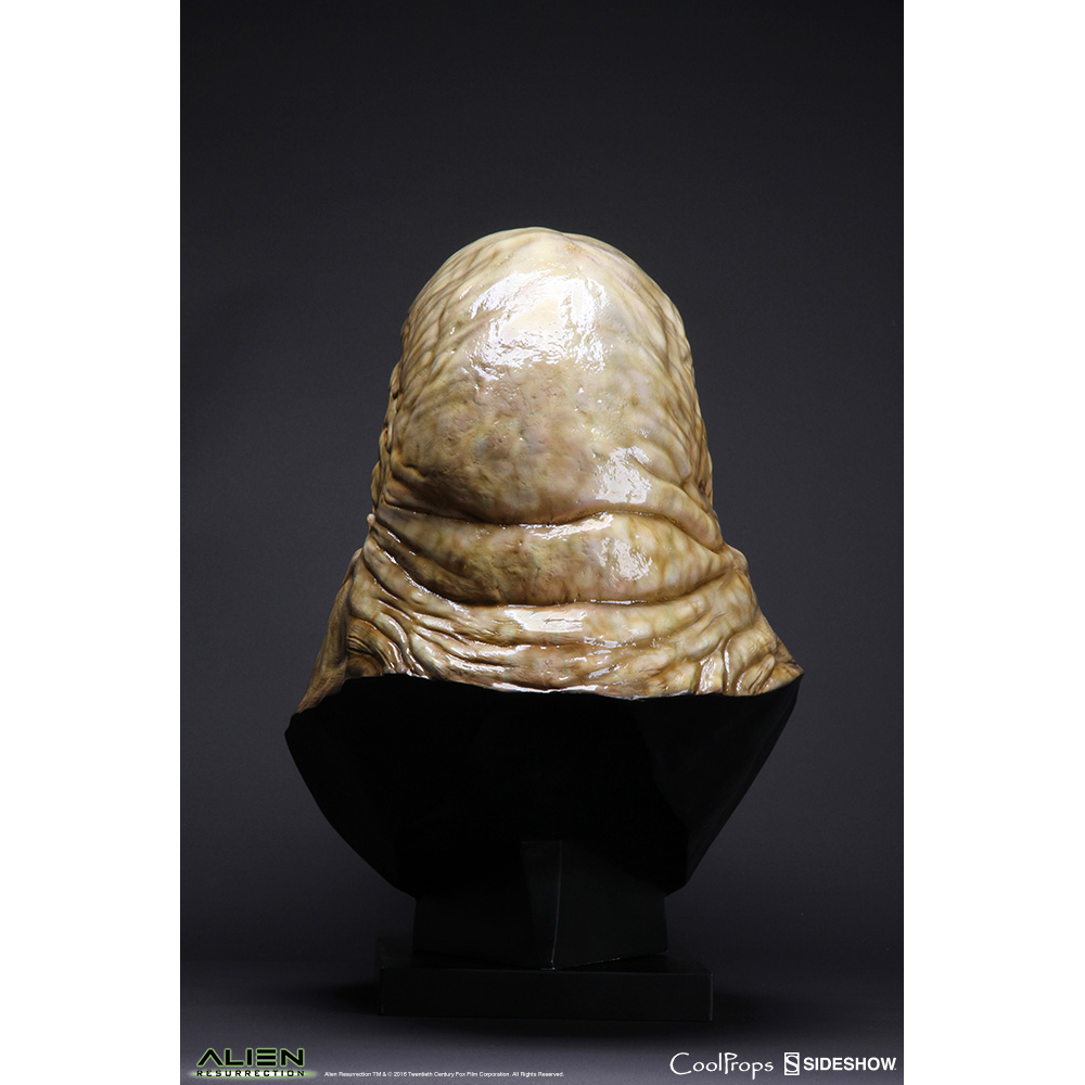 Alien Newborn Life-Size Head Prop Replica by CoolProps 902730