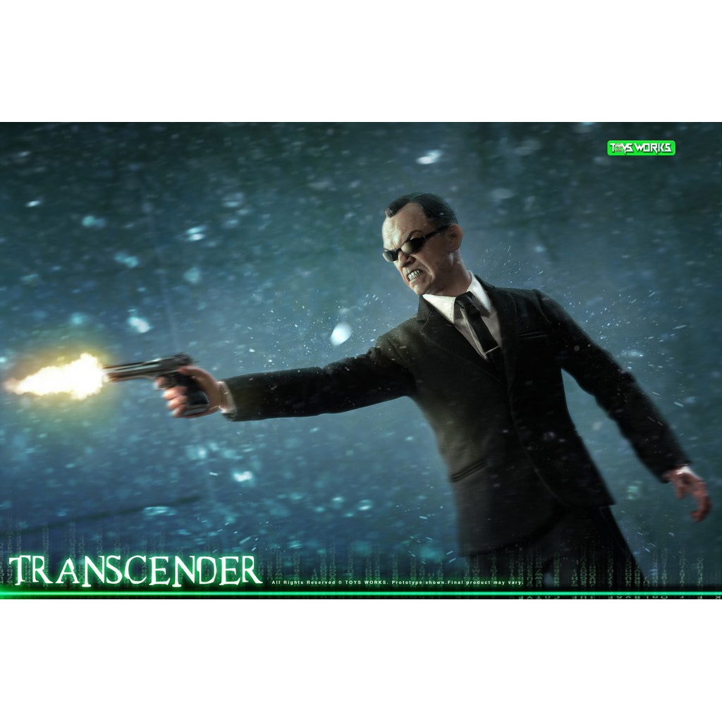Transcender (style Matrix) 1:6 figure Toys Works TW010