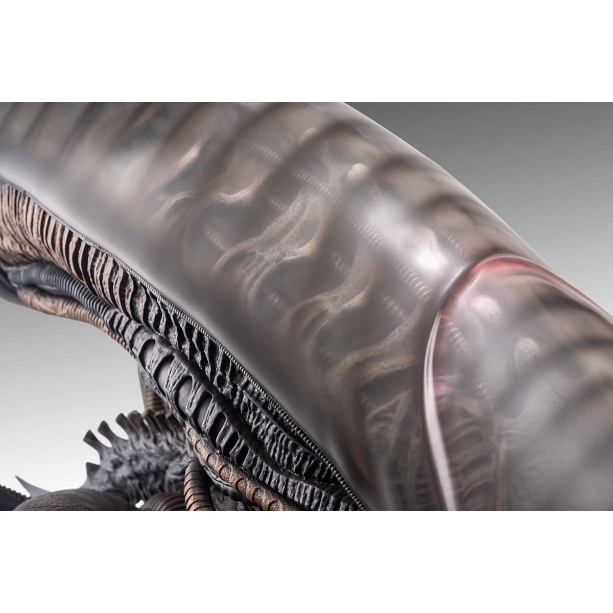 Alien Xenomorph Life-Size Bust Hollywood Collectibles Group 9478 914505