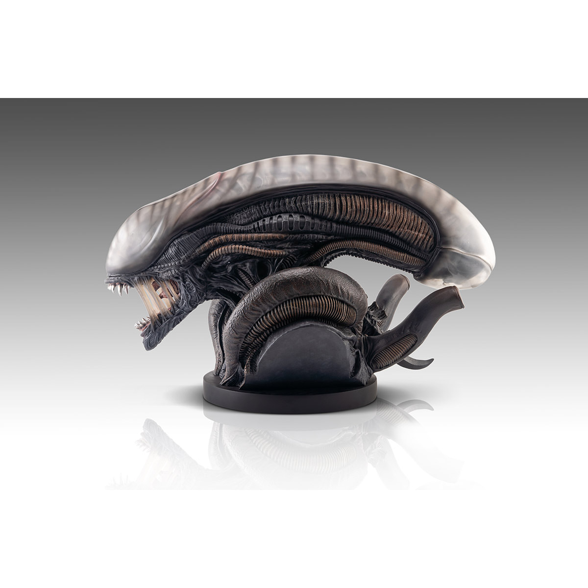 Alien Xenomorph Life-Size Bust Hollywood Collectibles Group 9478 914505