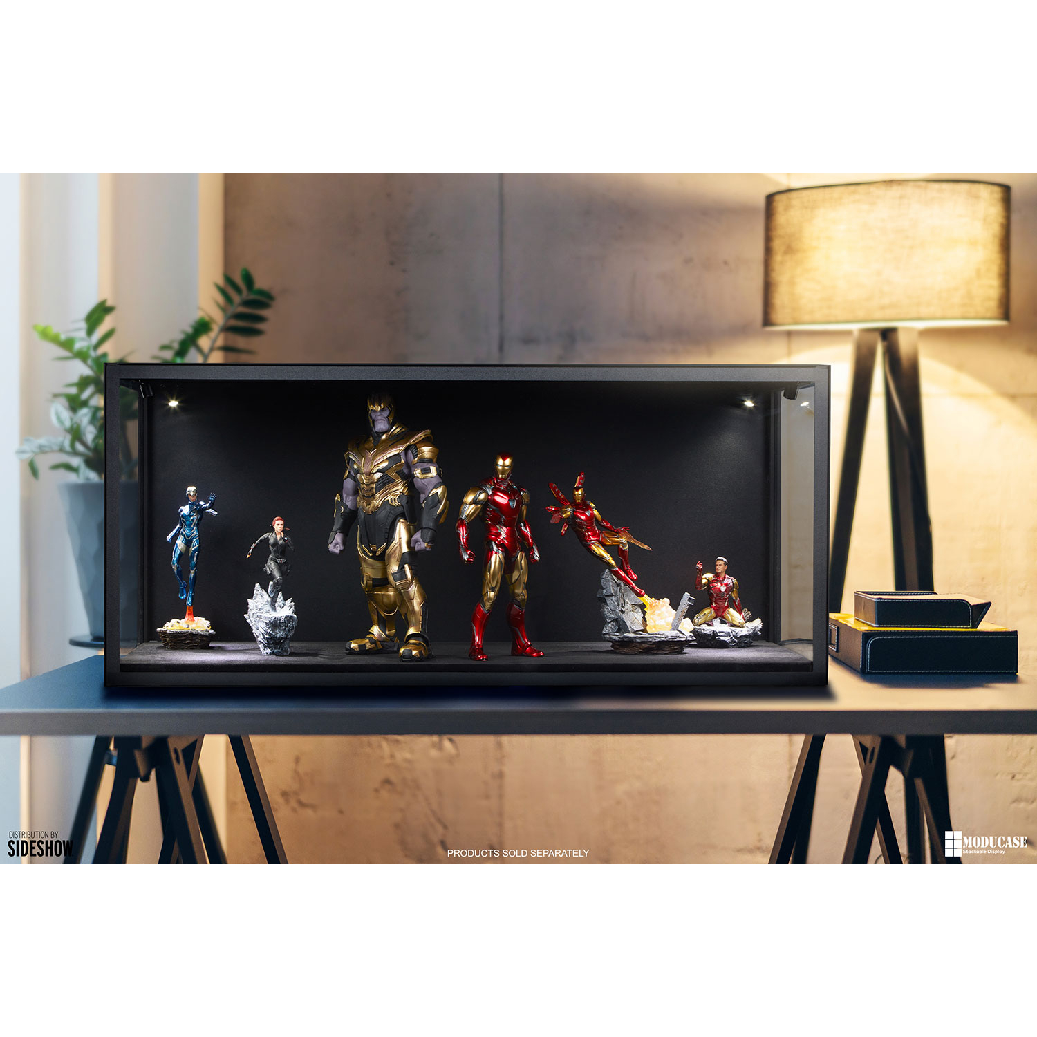 Sixth110 Display Case Moducase 908962