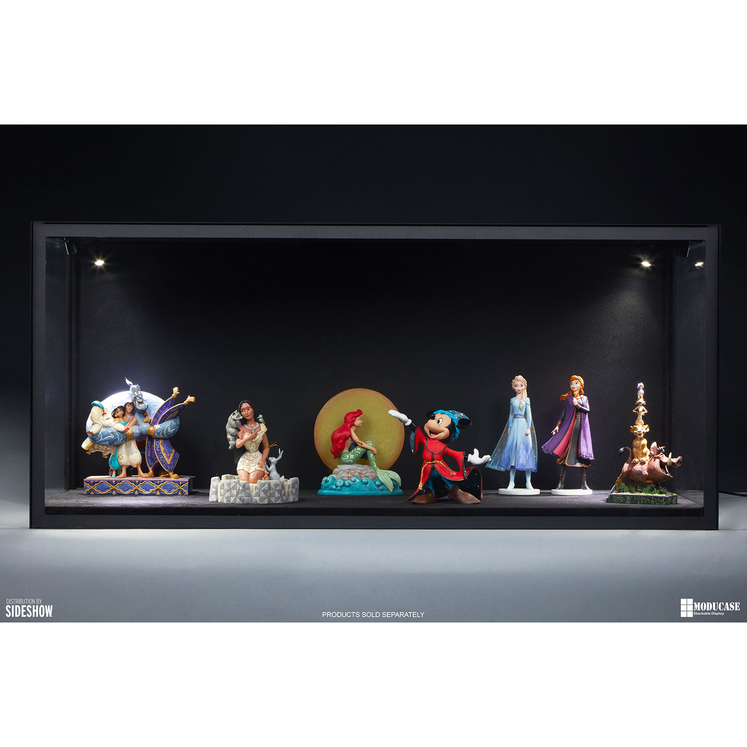 Sixth110 Display Case Moducase 908962