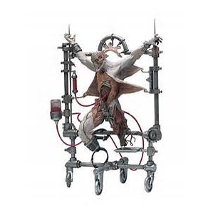 Spawn Clive Barker's Tortured Souls 2: The Fallen Moribundi action ...