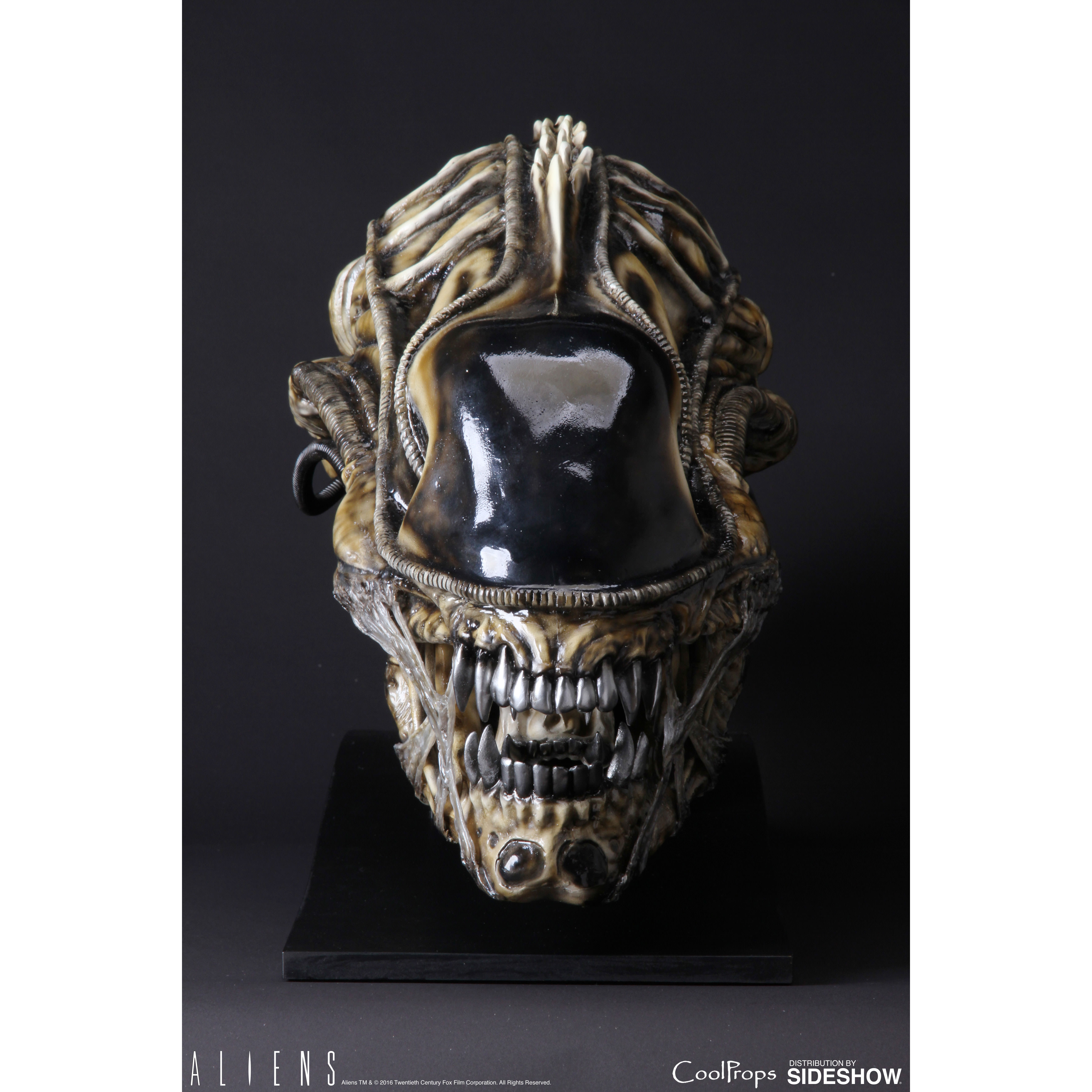 Alien Warrior Life-Size Head Prop Replica by CoolProps 902729