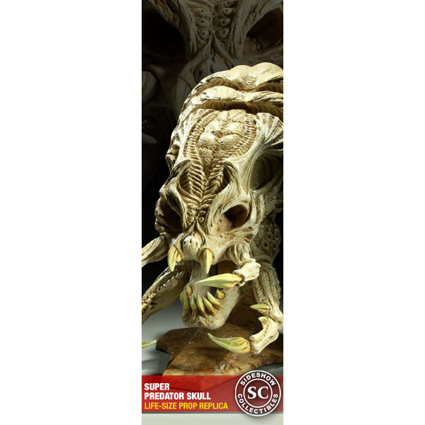 Predators Super Predator Skull Sideshow Collectibles 400062