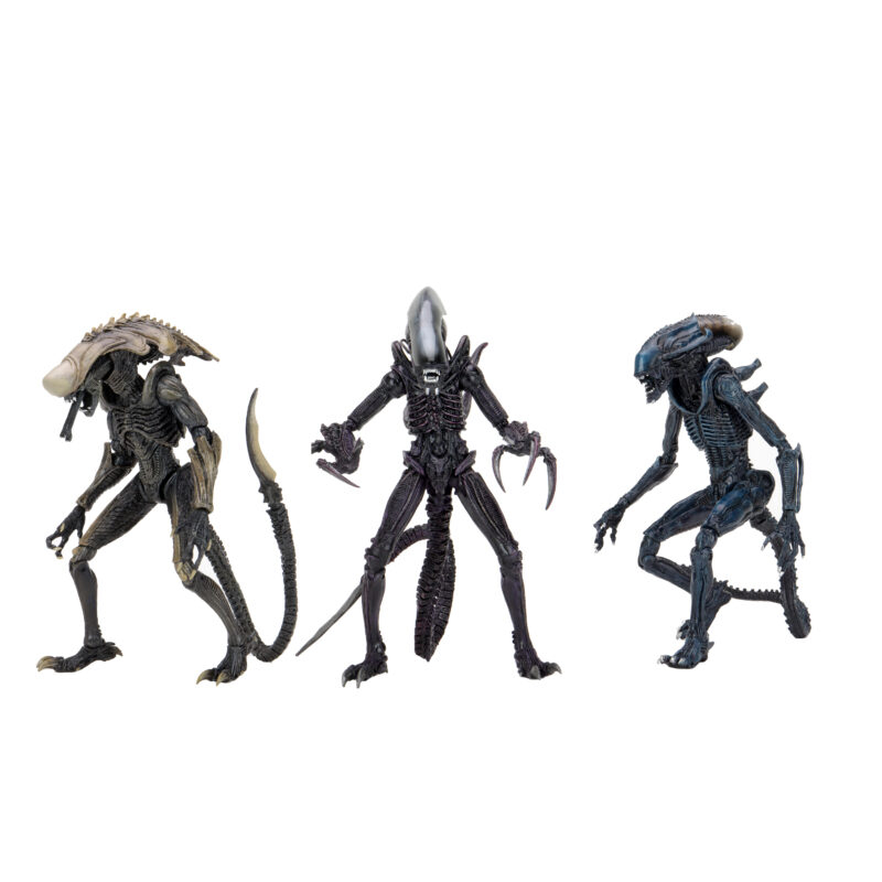 Alien vs Predator Alien Assortment Arachnoid, Chrysalis and Razor Claws ...
