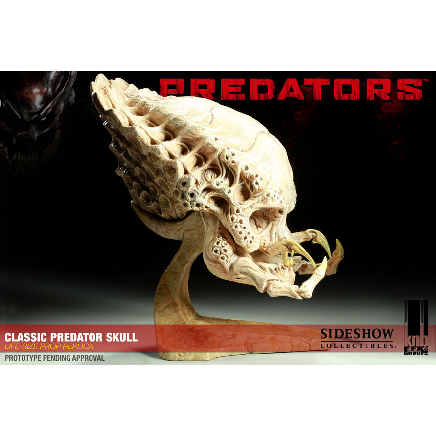 Classic Predator Skull Prop Replica Sideshow Collectibles 400048