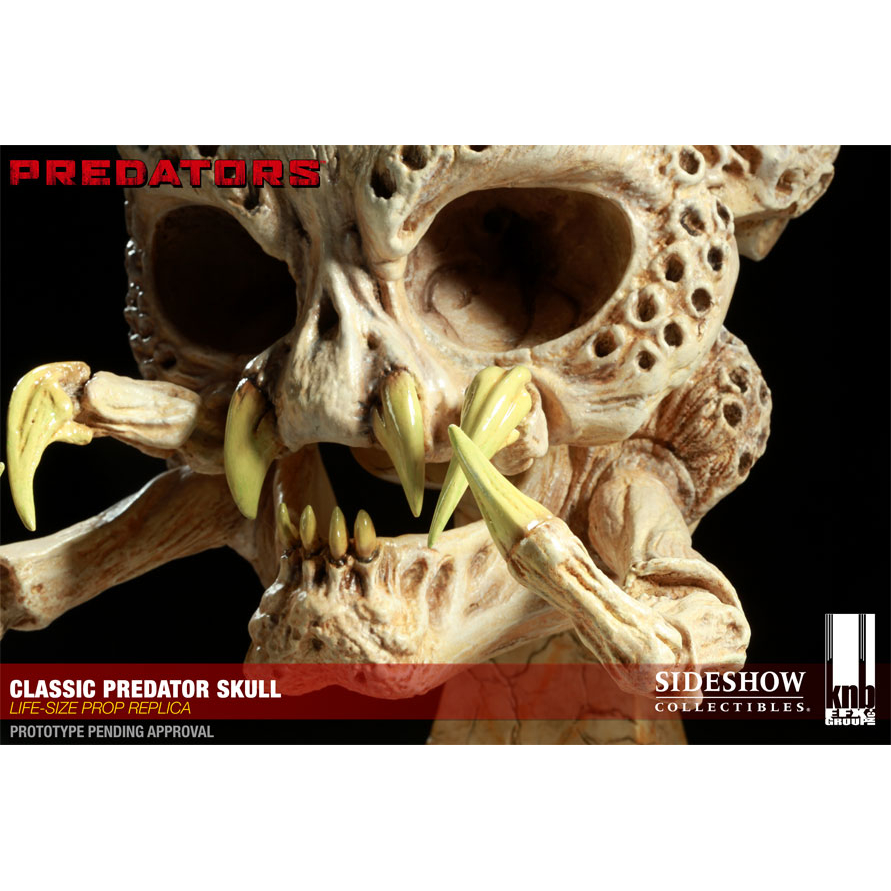 predator x skull