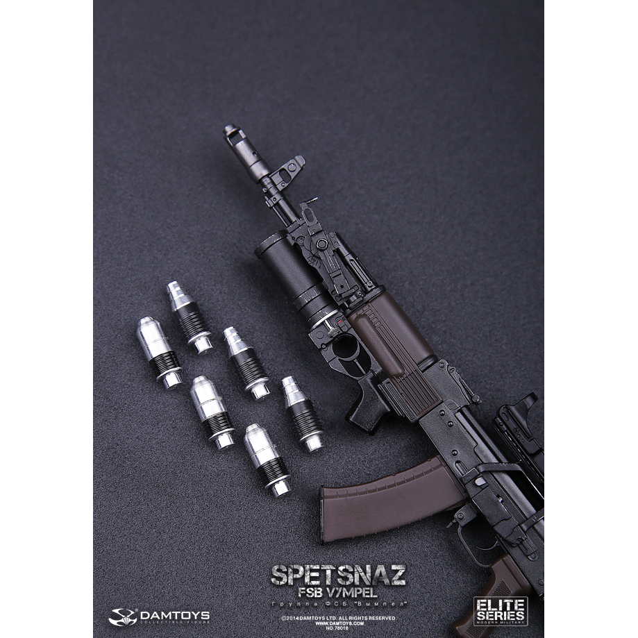 Spetsnaz FSB Vympel Group Damtoys Elite Series 78018