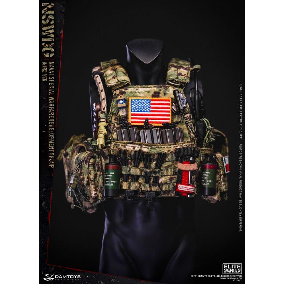 NSWDG Naval Warfare Group figurine échelle 1:6 DamToys 78072